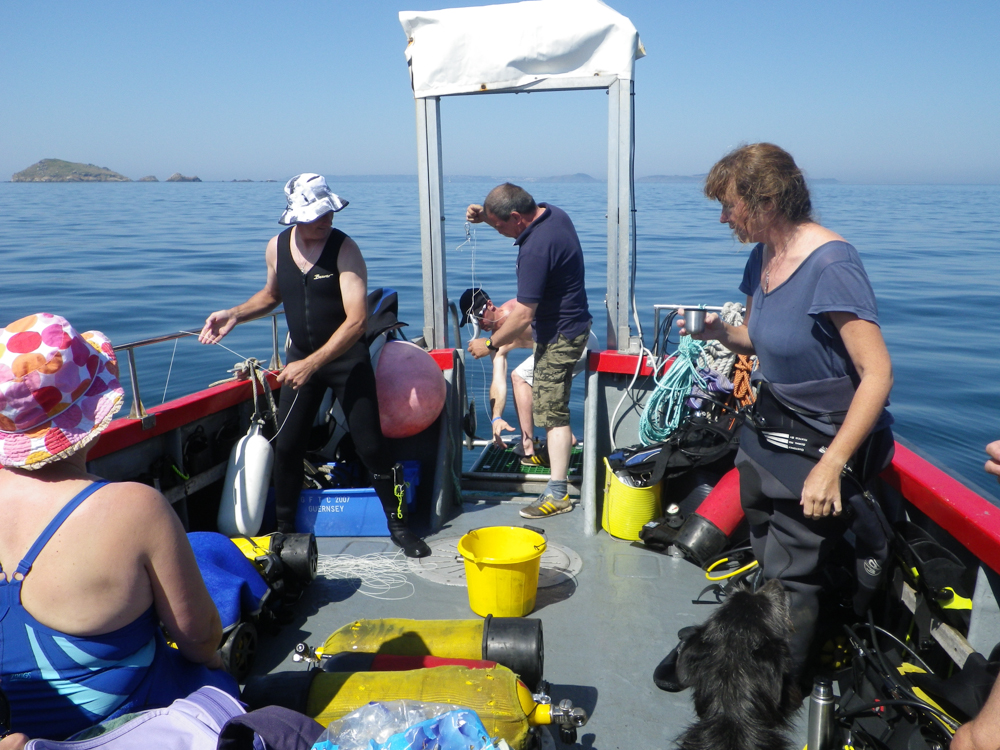 Sark Trip 2012 - Donkey Divers