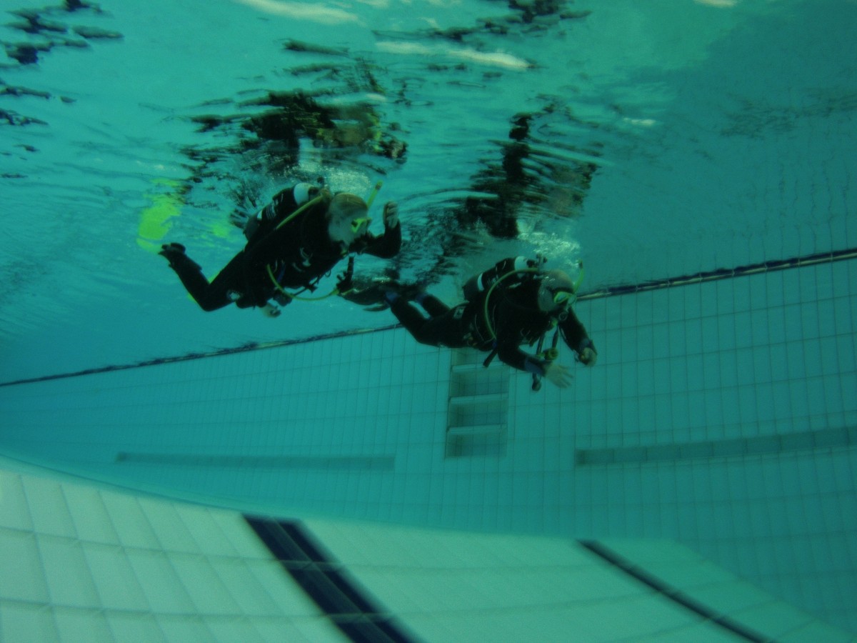 Pool fun this weekend. - Donkey Divers