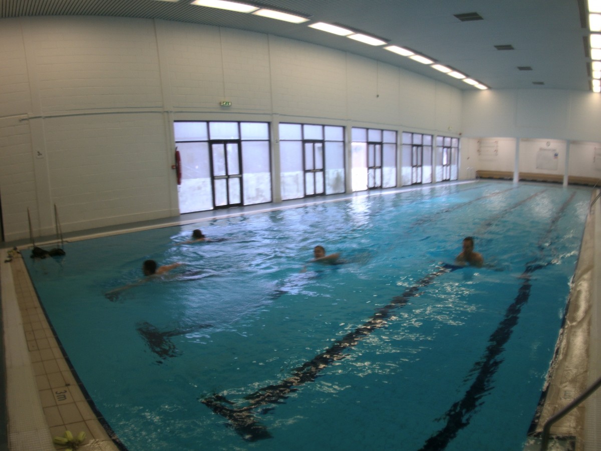 Pool fun this weekend. - Donkey Divers