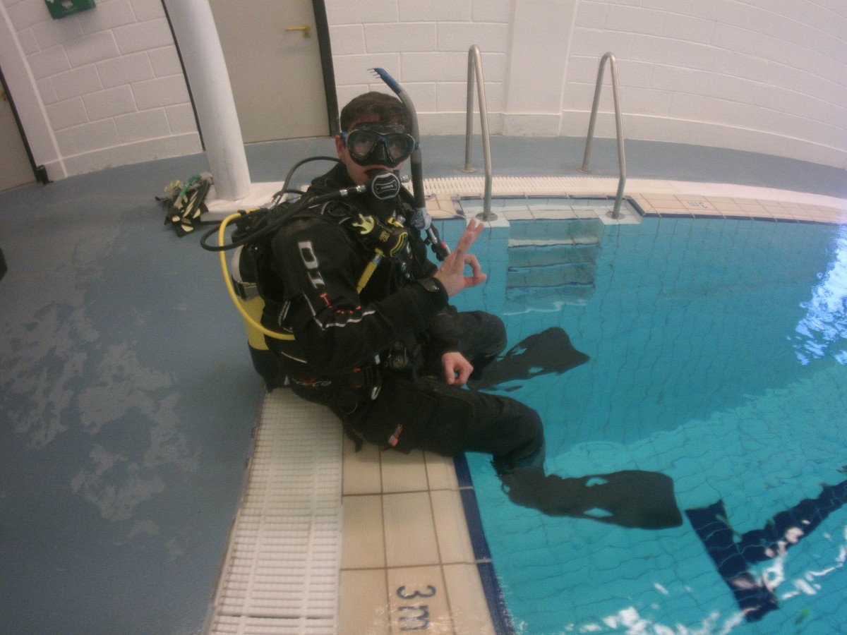 Pool fun this weekend. - Donkey Divers