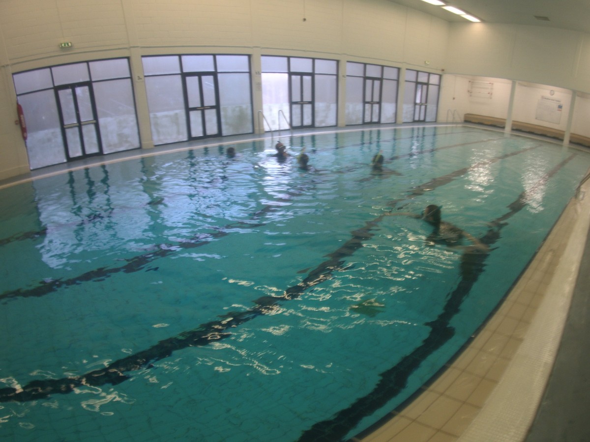 Pool fun this weekend. - Donkey Divers