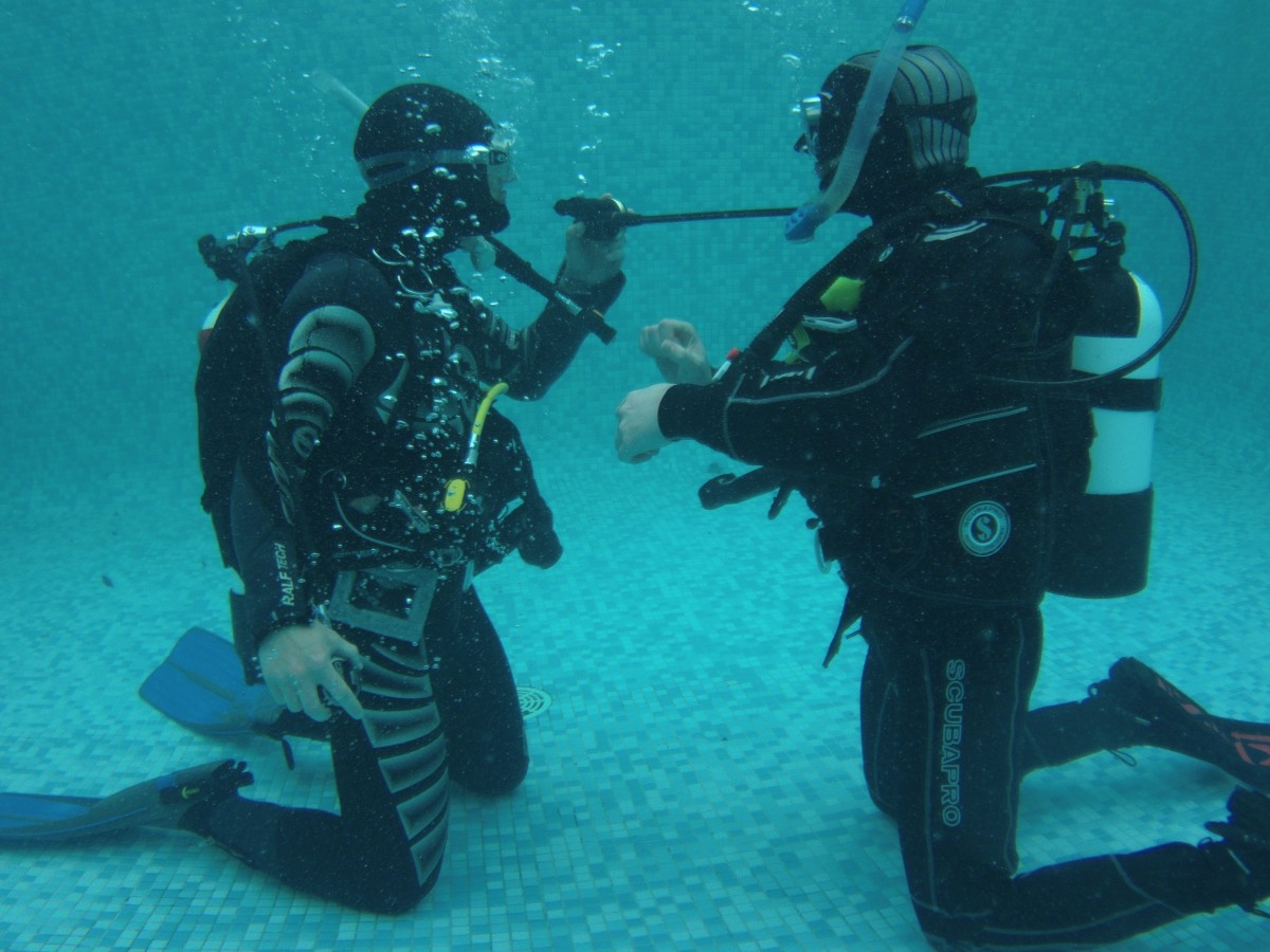 Great morning for DMT Adam Kennedy - Donkey Divers