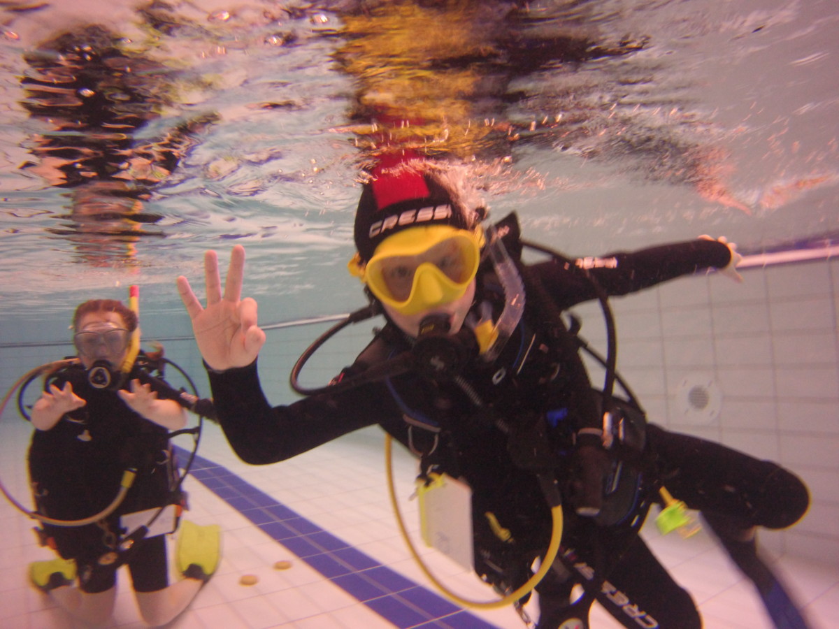 Next pool session Les Beaucamps 05/11/17 - Donkey Divers