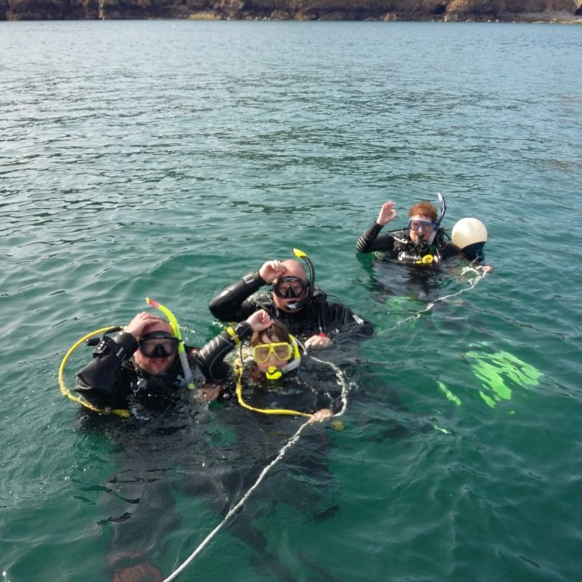 Important notice. - Donkey Divers