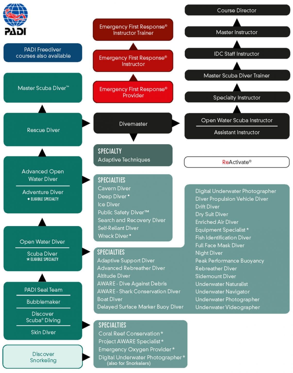 Courses - Donkey Divers