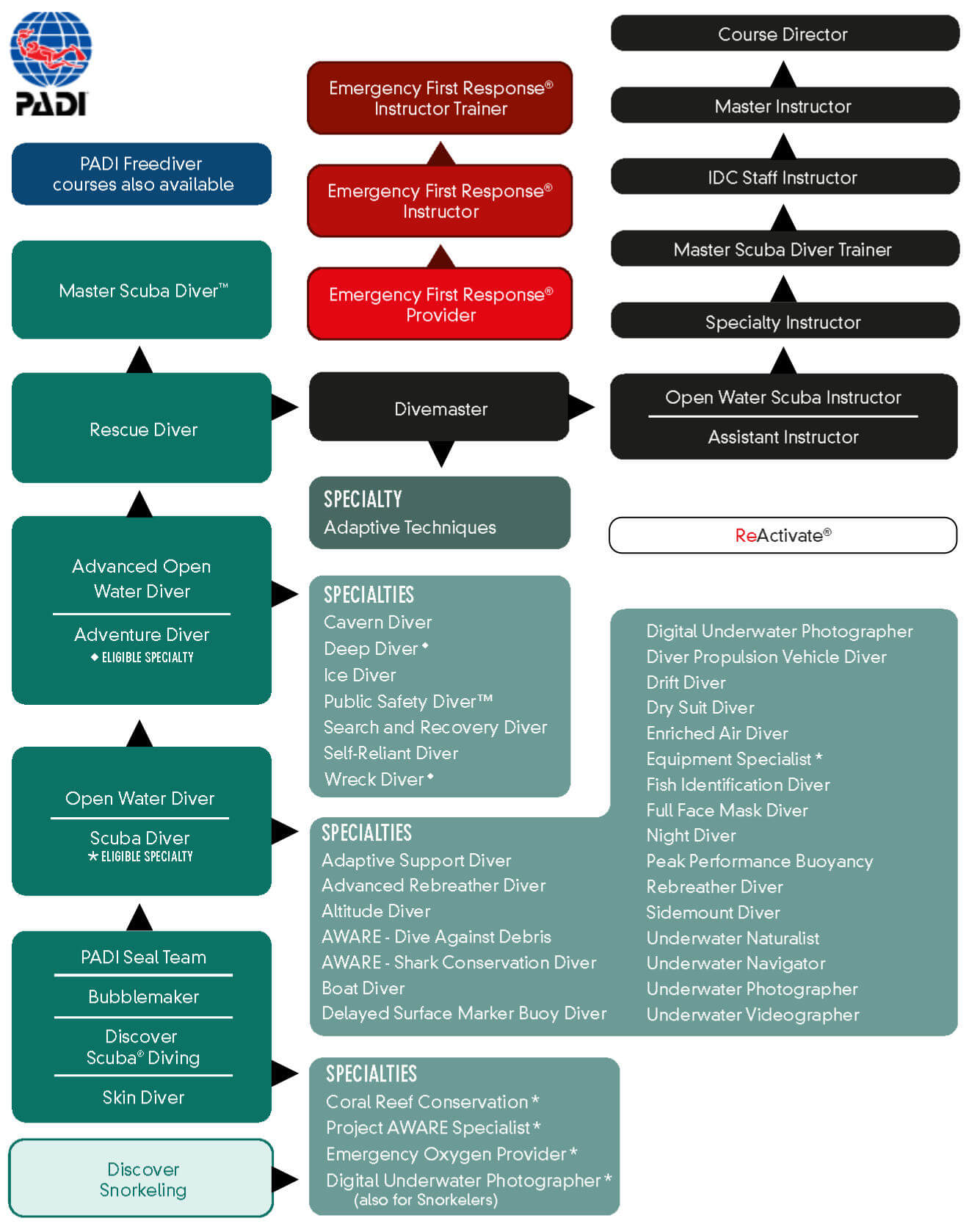 Courses - Donkey Divers