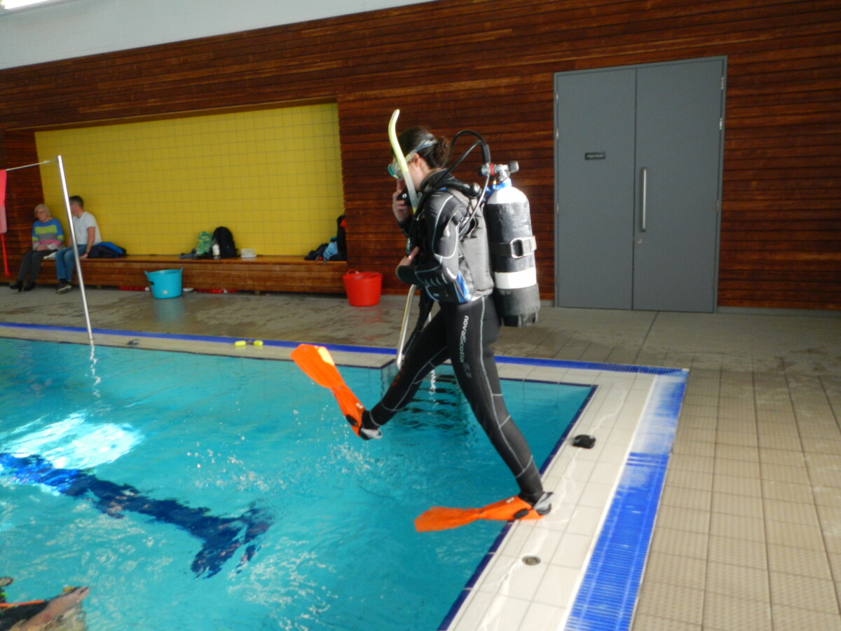 PADI Open Water Diver OW21/4 - Donkey Divers