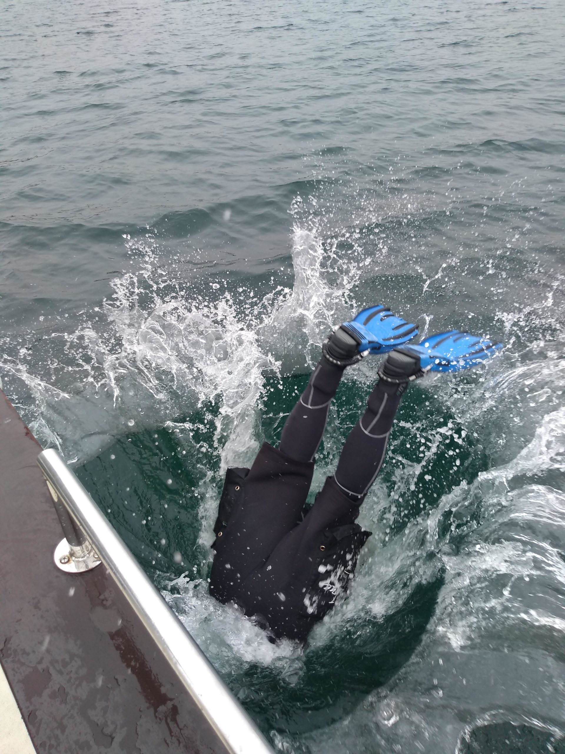 Club Dive ( Zulu ) - Donkey Divers