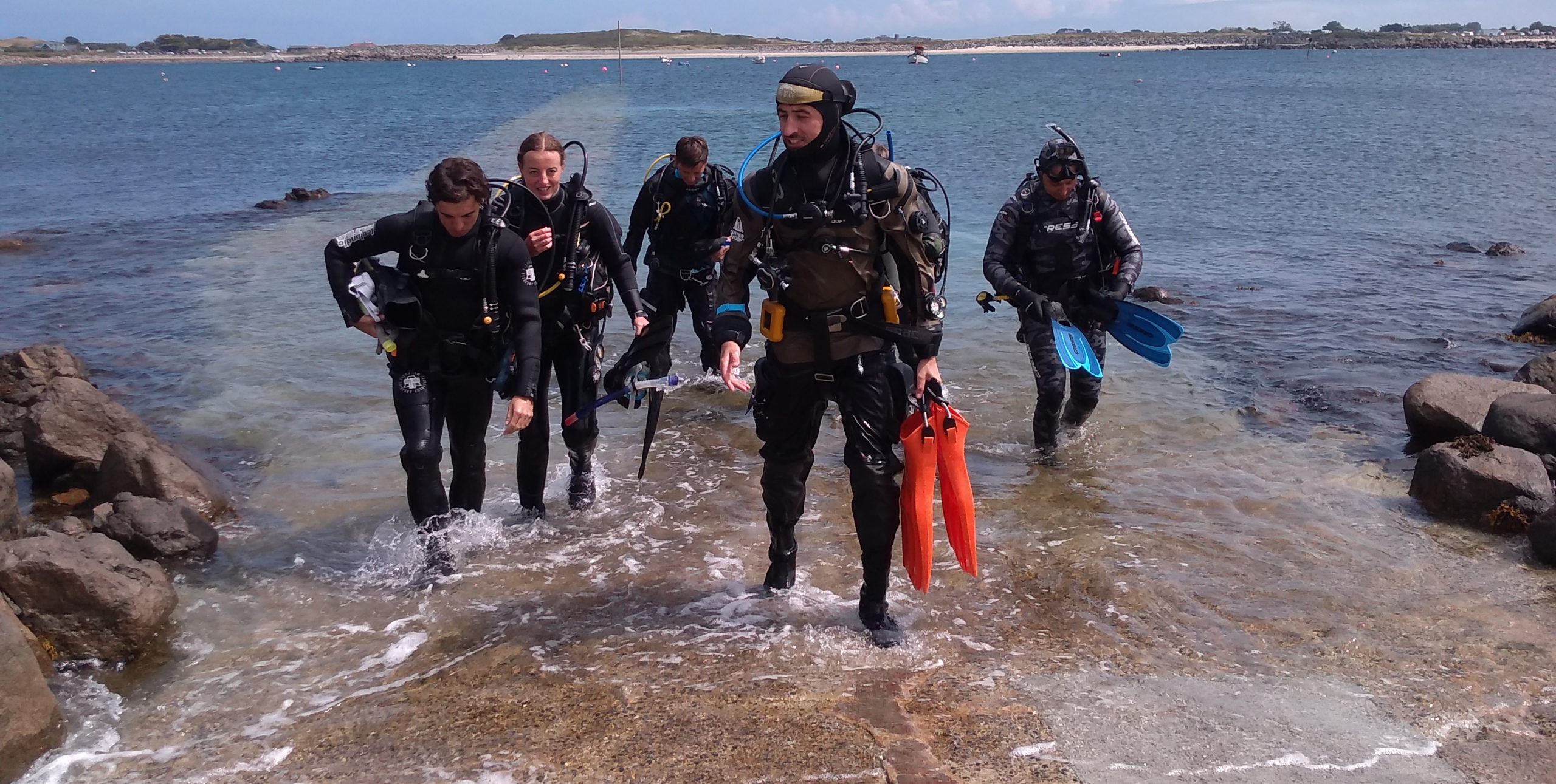 Donkey Divers 2022 - Donkey Divers